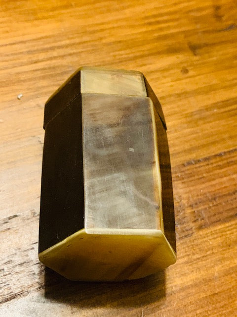 Horn-Topia-- A Real LIfe Satyr Horn Relic – Haunted Collector